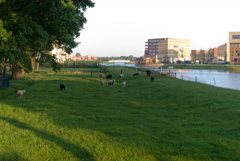 Taxaties - Kapteijn Rentmeesters